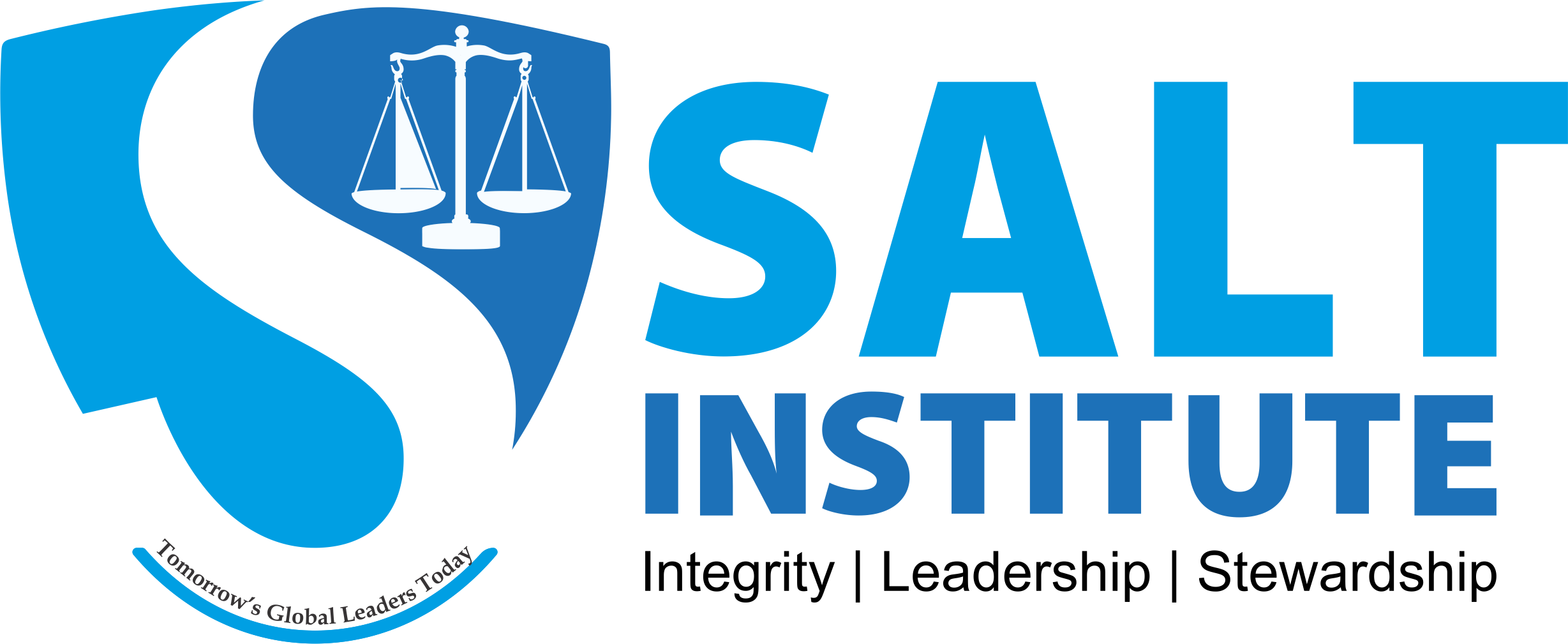 SALT INSTITUTE